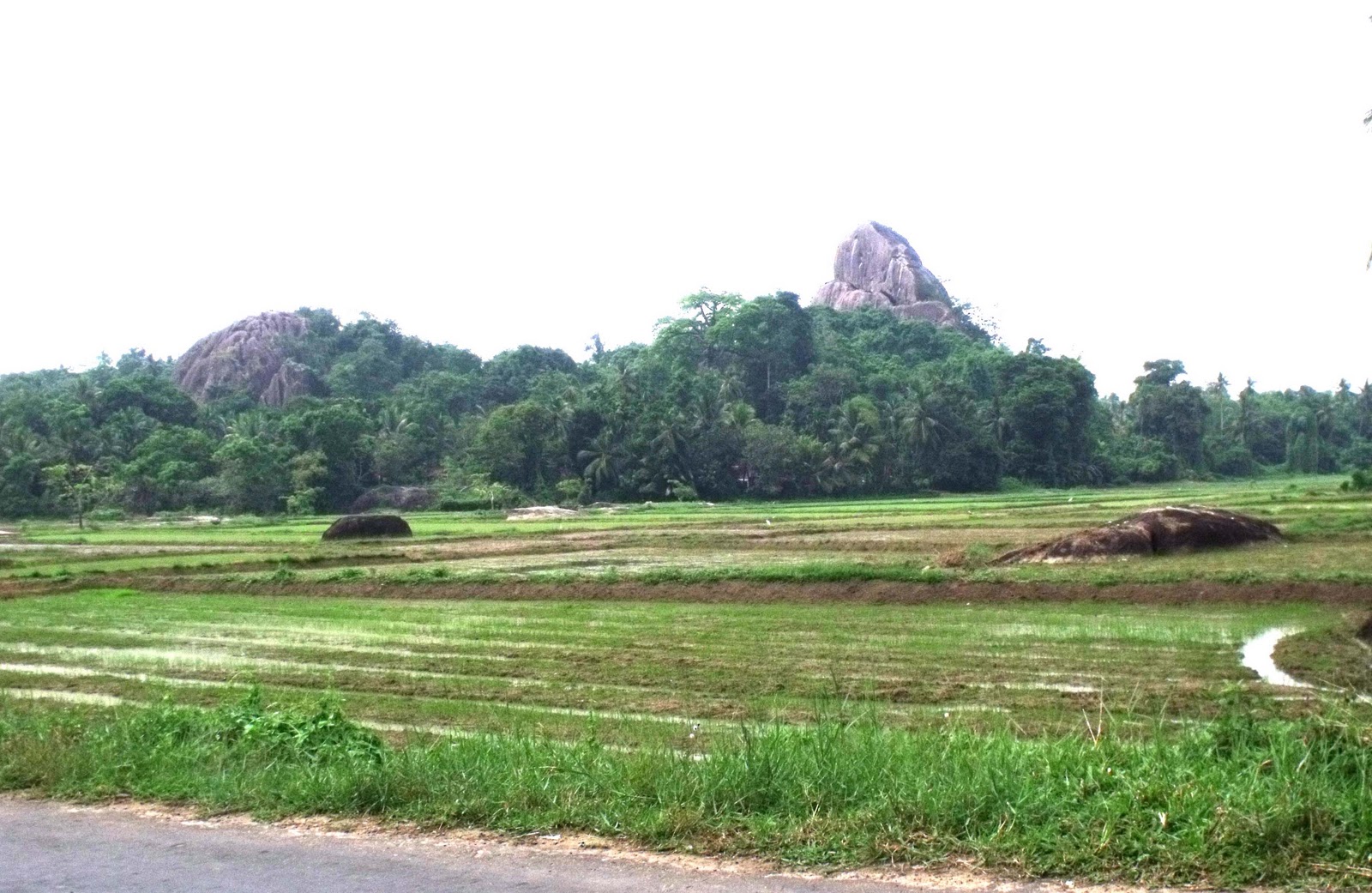 Images of Sri Lanka on blogspot.com: 10/31/10 - 11/7/10