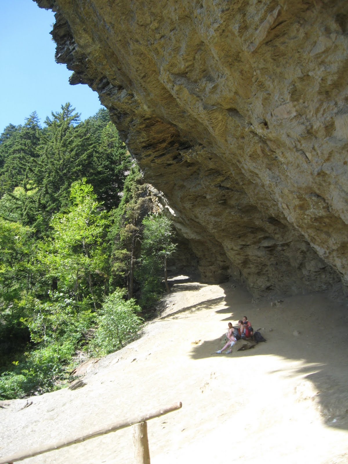 Cleopatra's Handmaiden: Alum Cave Trail & Mt. LeConte