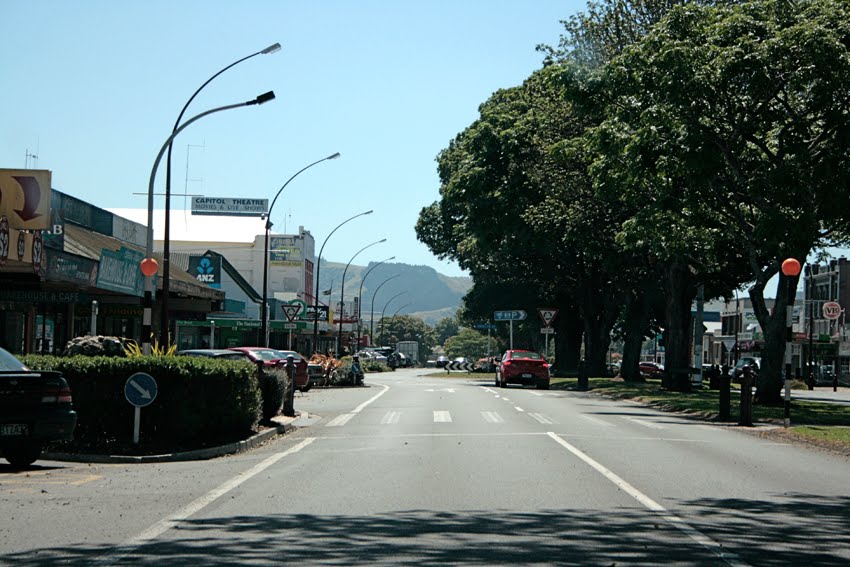 THE LAST VISIBLE DOG: Te Puke