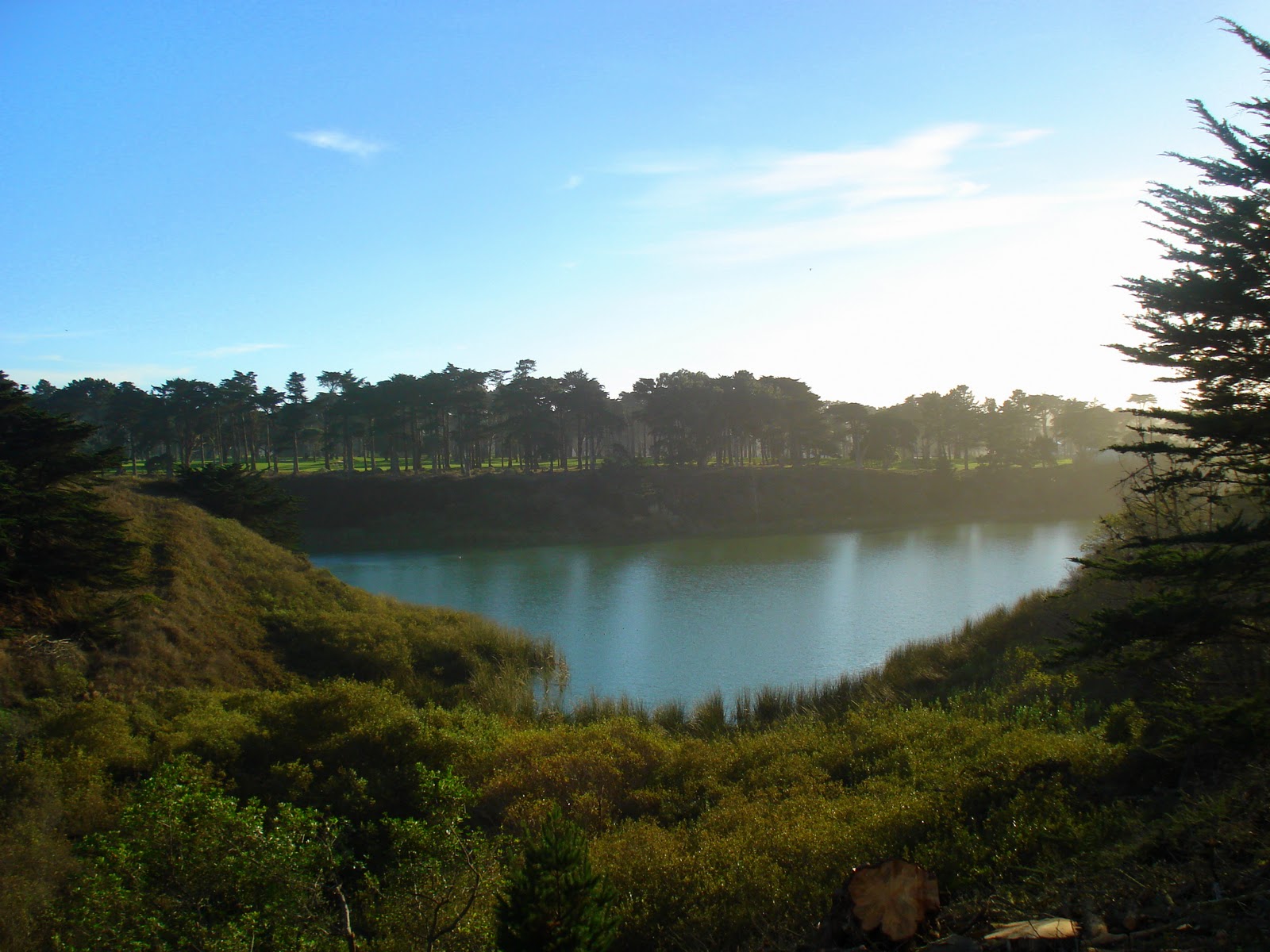 4.8 miles around Lake Merced