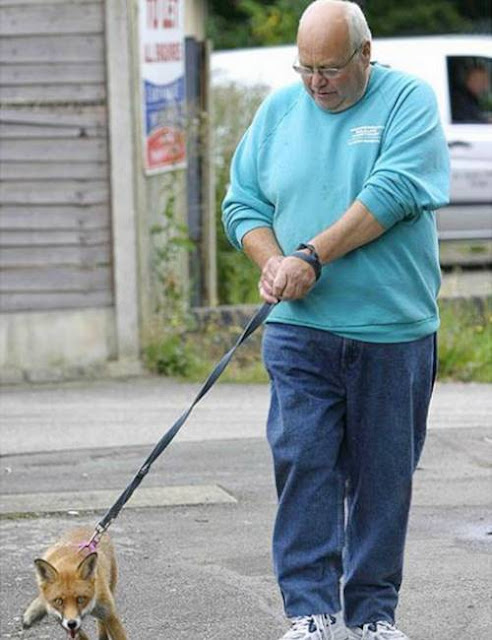Amazing: Strange Pets on Walk