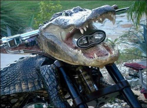 More images after the break...