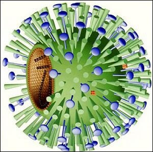 LOS VIRUS Y LA INFLUENZA AHN1N1: LOS VIRUS Y LA INFLUENZA AH1N1
