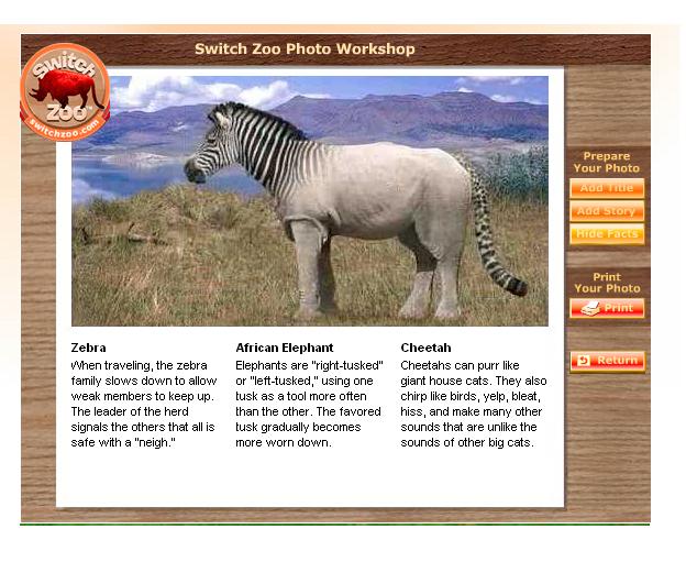 Do you like animals?