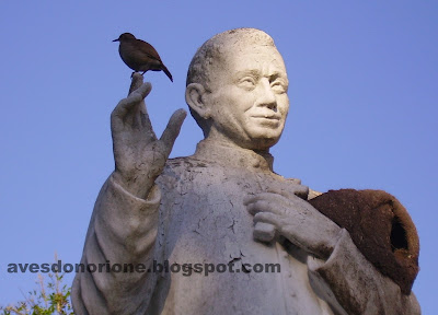 Aves del Cottolengo de Claypole