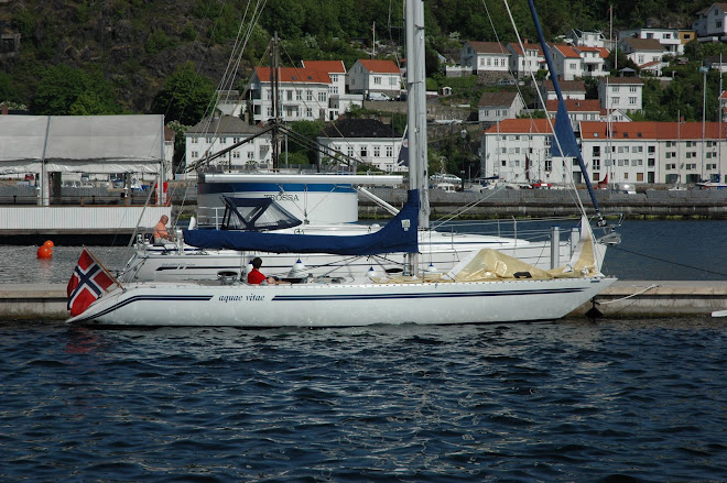 Carrera Helmsman