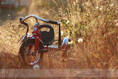 Nichole Pierce Photography