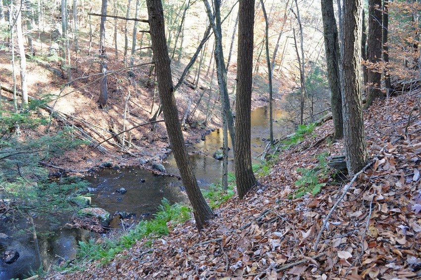 Harriman Hiker: Harriman State Park and Beyond: Mianus River Gorge Preserve