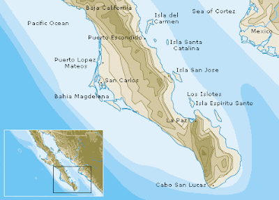 MAGDALENA BAY SPORTS AND ADVENTURES