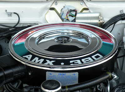 Just A Car Guy: Variety among the AMX air cleaners for the 360s and 390s