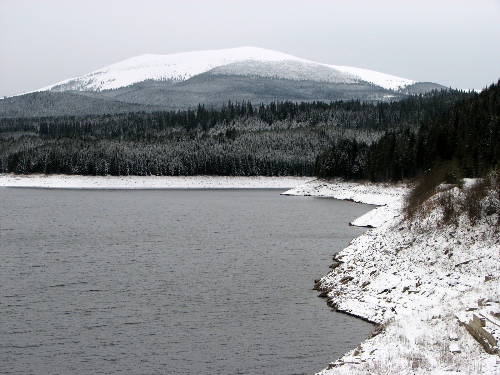 remus BlogSchi: NOUTATI DE LA SUREANU!!!