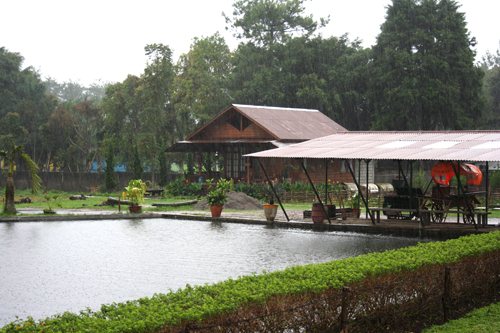 De Ranch Lembang, Enjoy Ride Horse in Lembang, Bandung