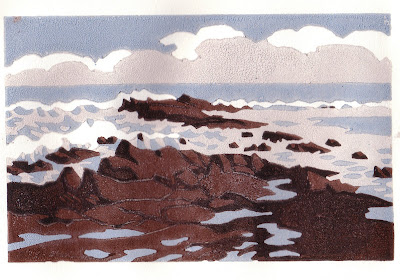 Wildlife with Pen and Brush: Filey Brigg