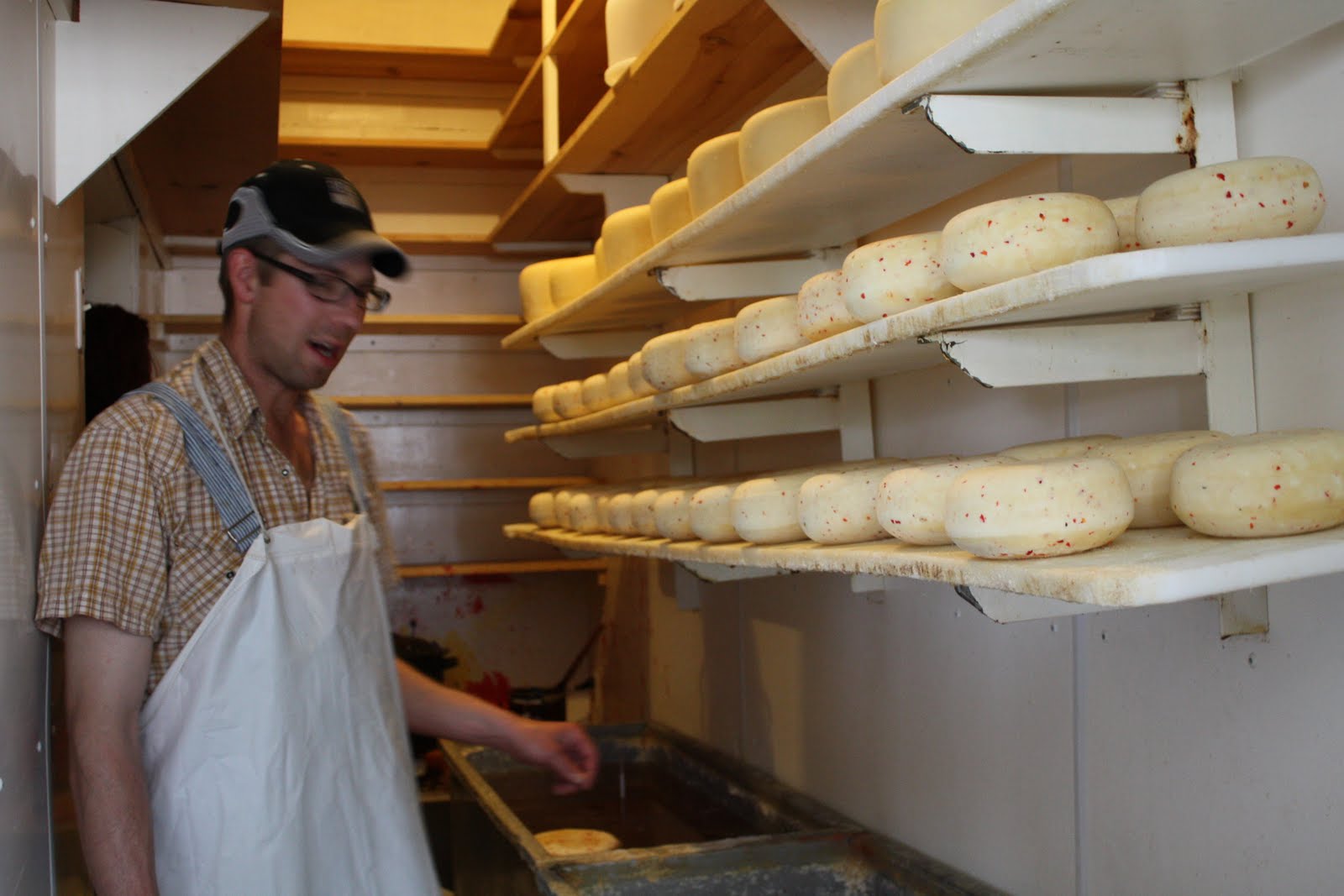 Seattle Tall Poppy: Farm Tour: Pleasant Valley Dairy and the Spring Cheeses