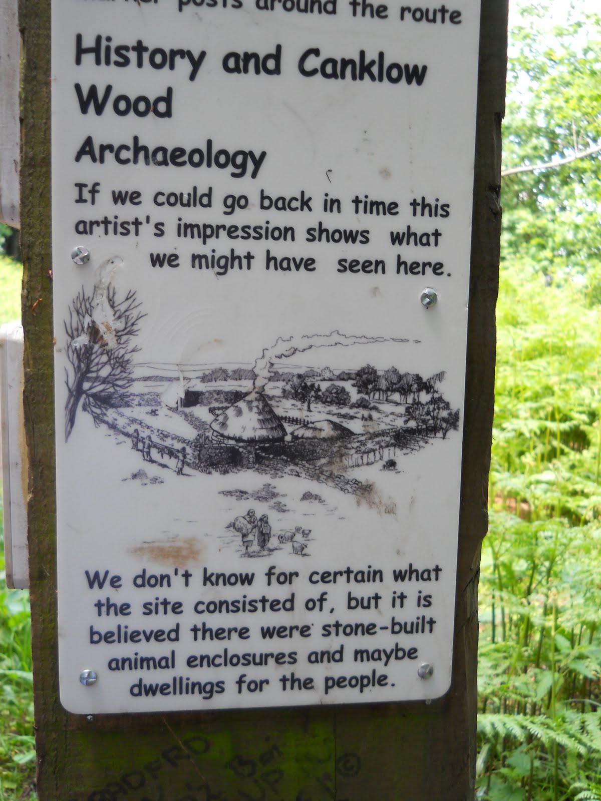 Heart Shaped: Boston Castle & Canklow Woods