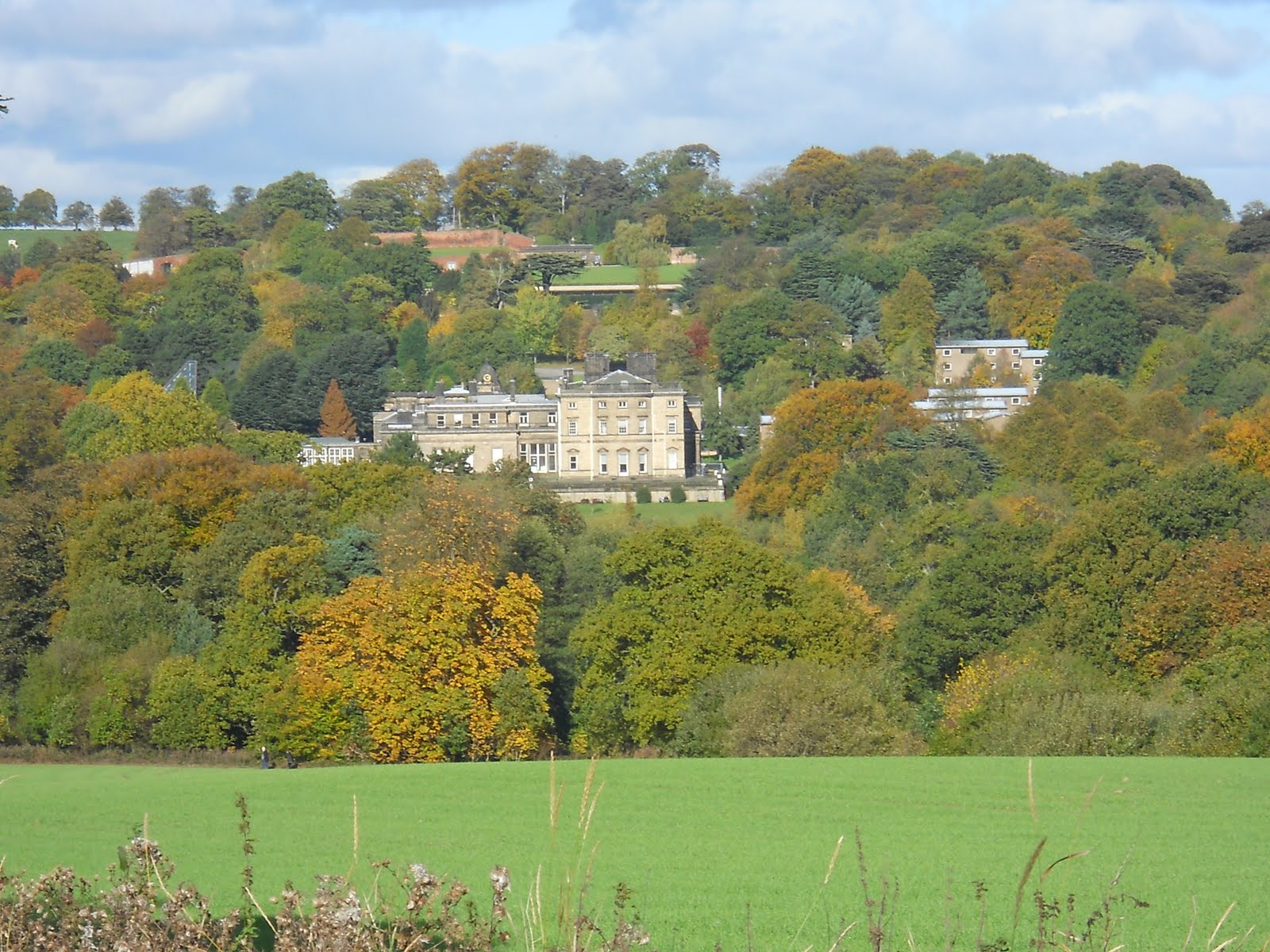 Heart Shaped: Bretton Hall Estate walk