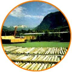 Selva Amazonica: Peligros que corre la selva