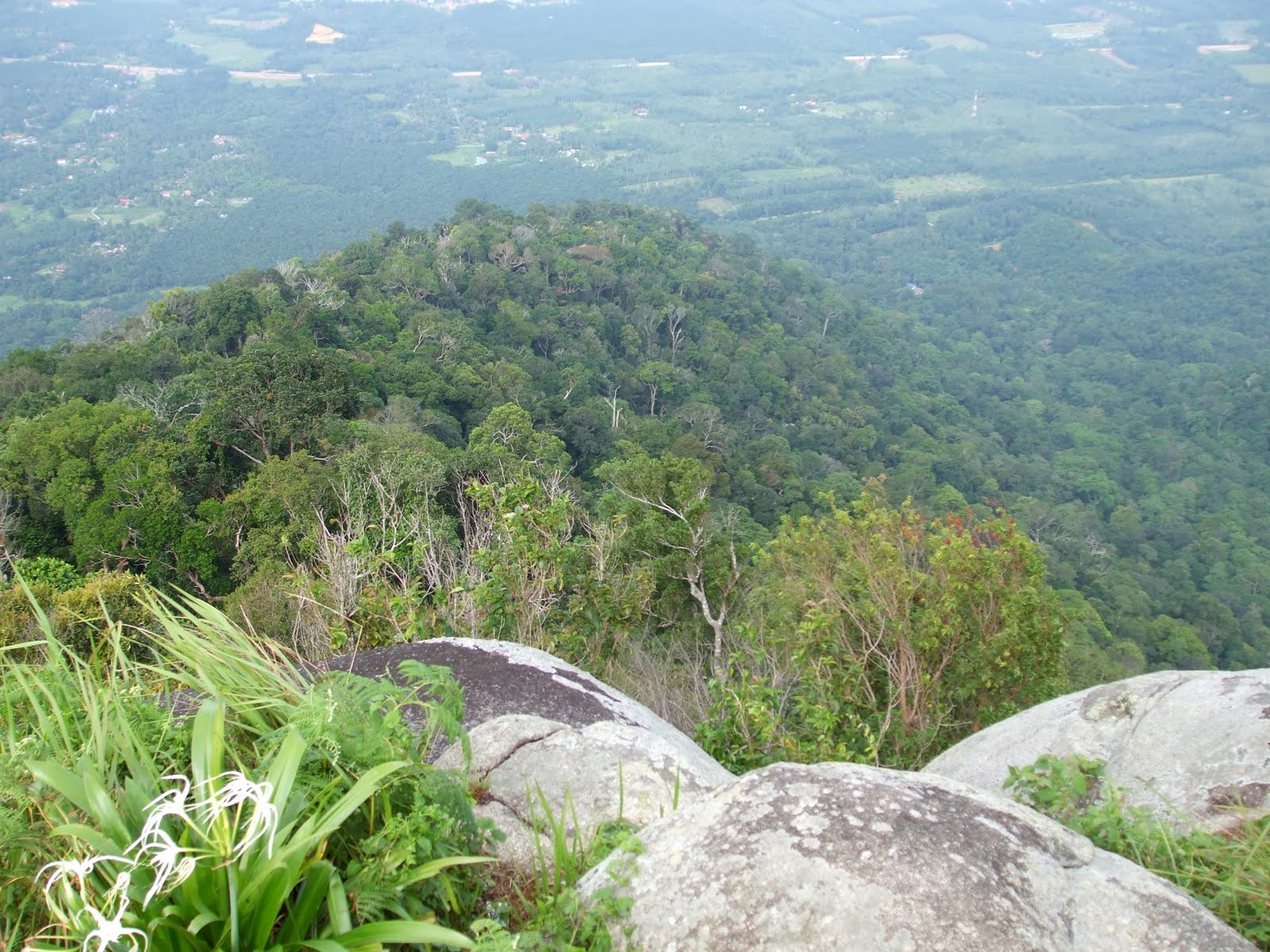 Gunung Datuk - What's the real height of Gunung Datuk