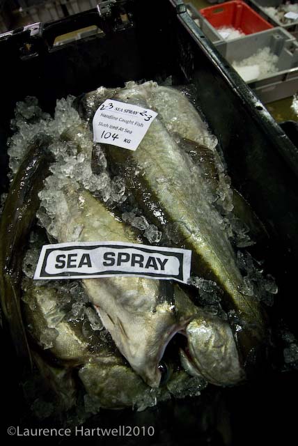 Through the Gaps! - Newlyn Fishing News: Monday's market - as ever, top ...