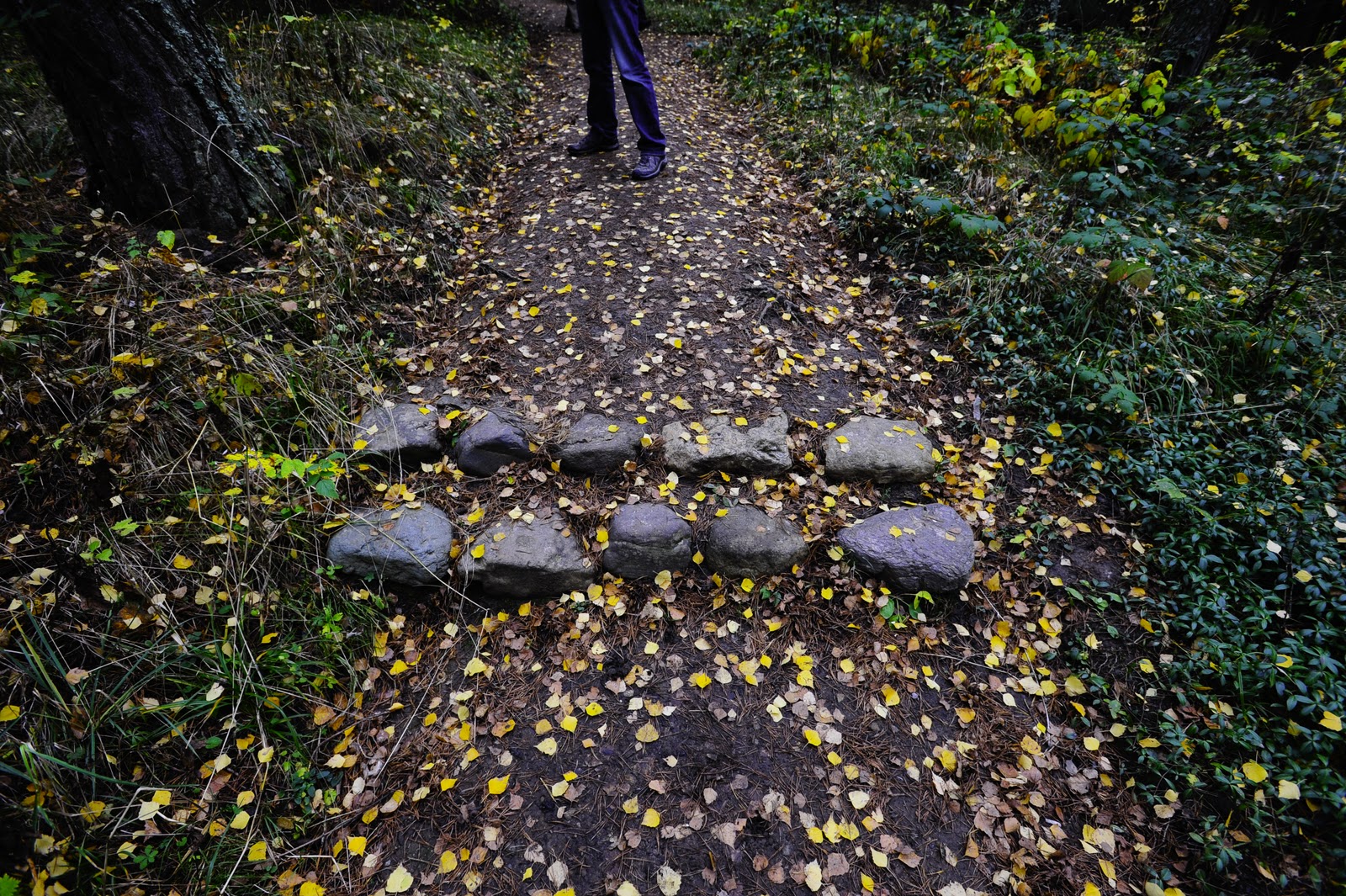 Would Naseptin Nasal Cream Affect The Pill