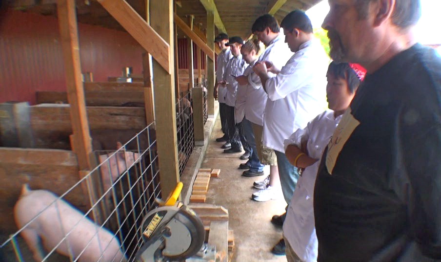 ~ OREGON CULINARY INSTITUTE ~: The Pig Project