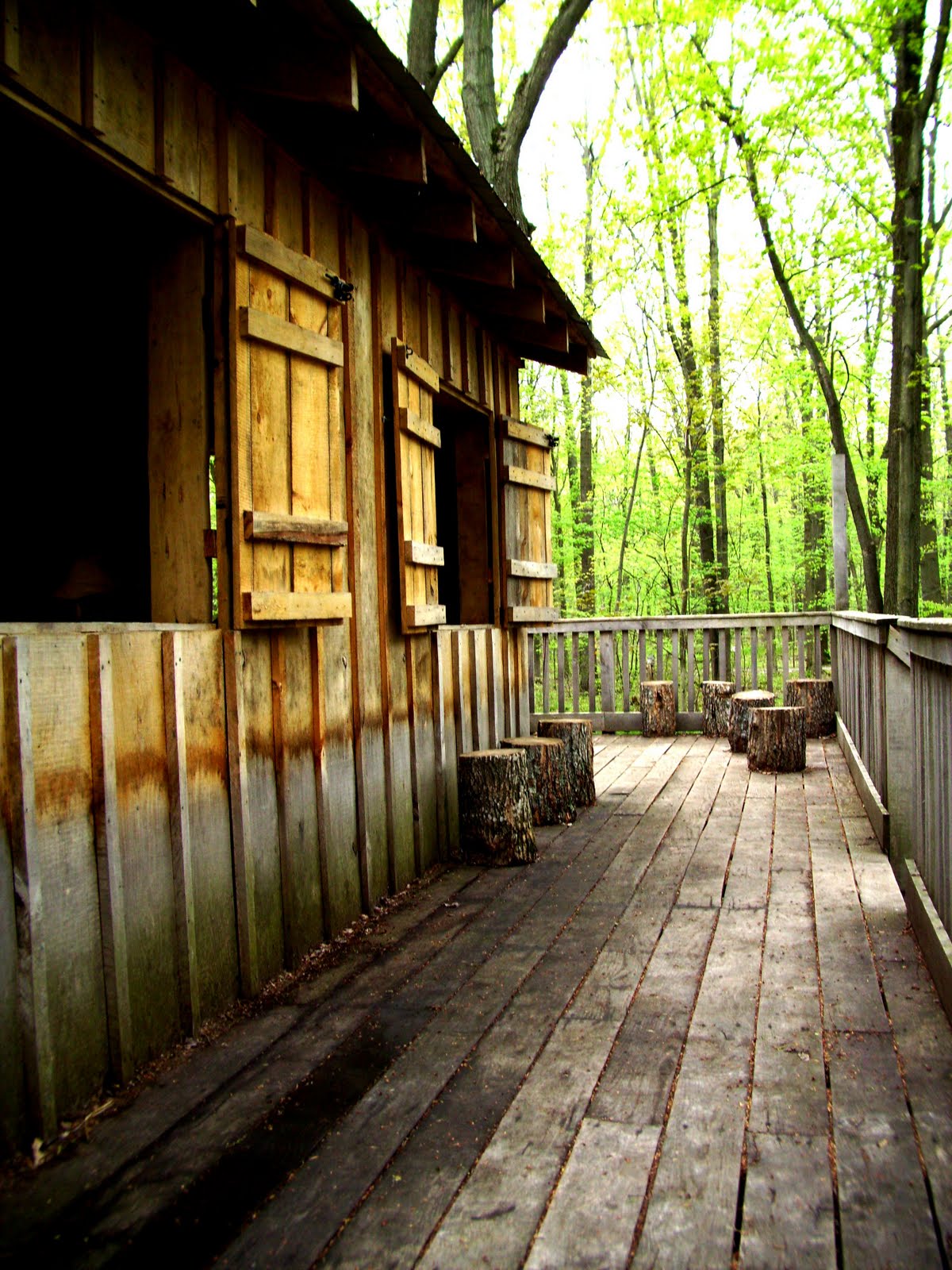 Mundanacity: Heartland Forest, Niagara Falls, Ontario