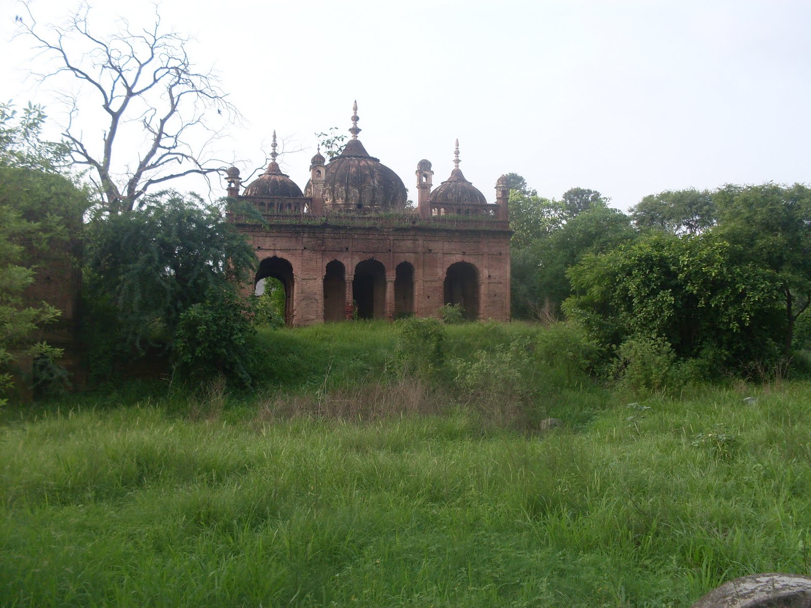 India Photo, India Pictures, India Images, Photos Of India, Photo India ...