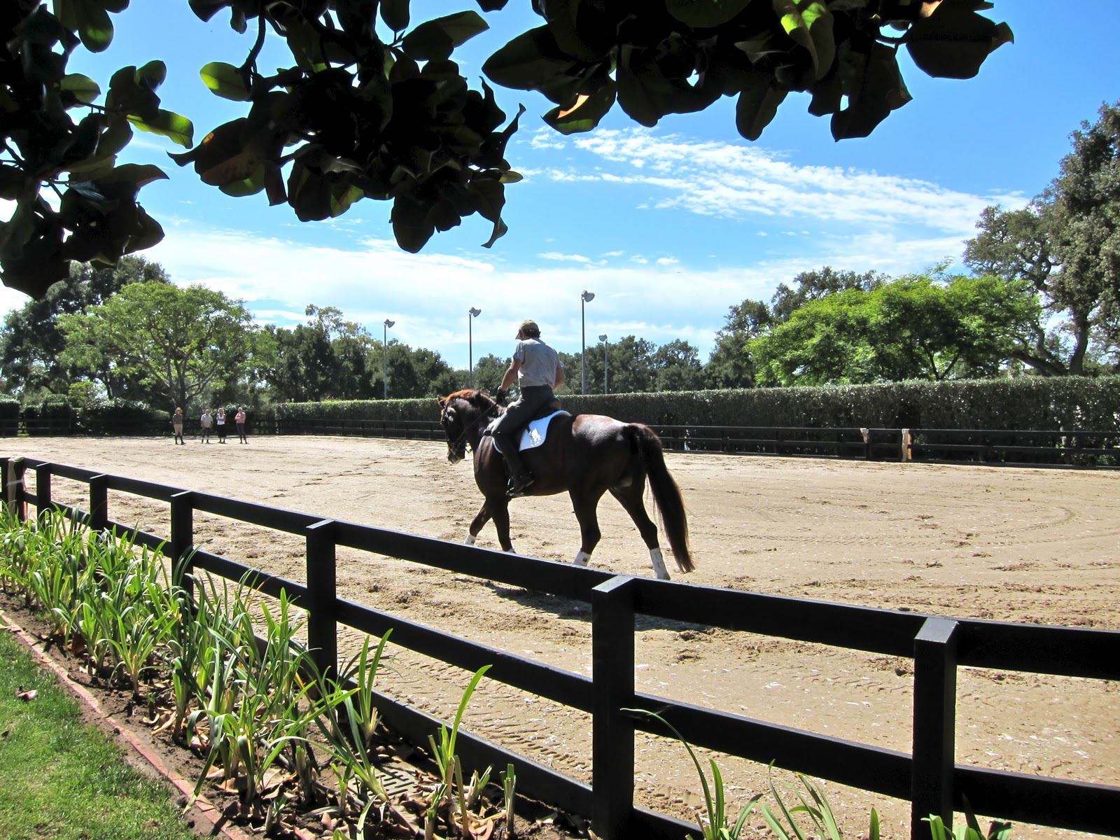 LUA: Equestrian Project | Hope Ranch Builder