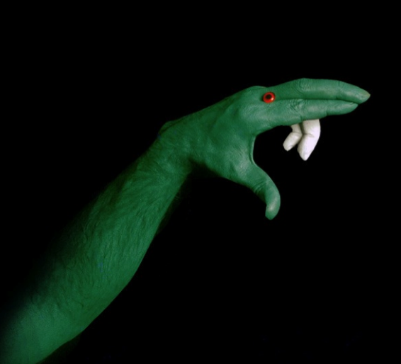 Animalarium: Mario Mariotti's Animani