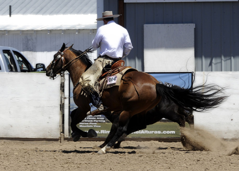 4Corners Ranch: Bruce Sandifer