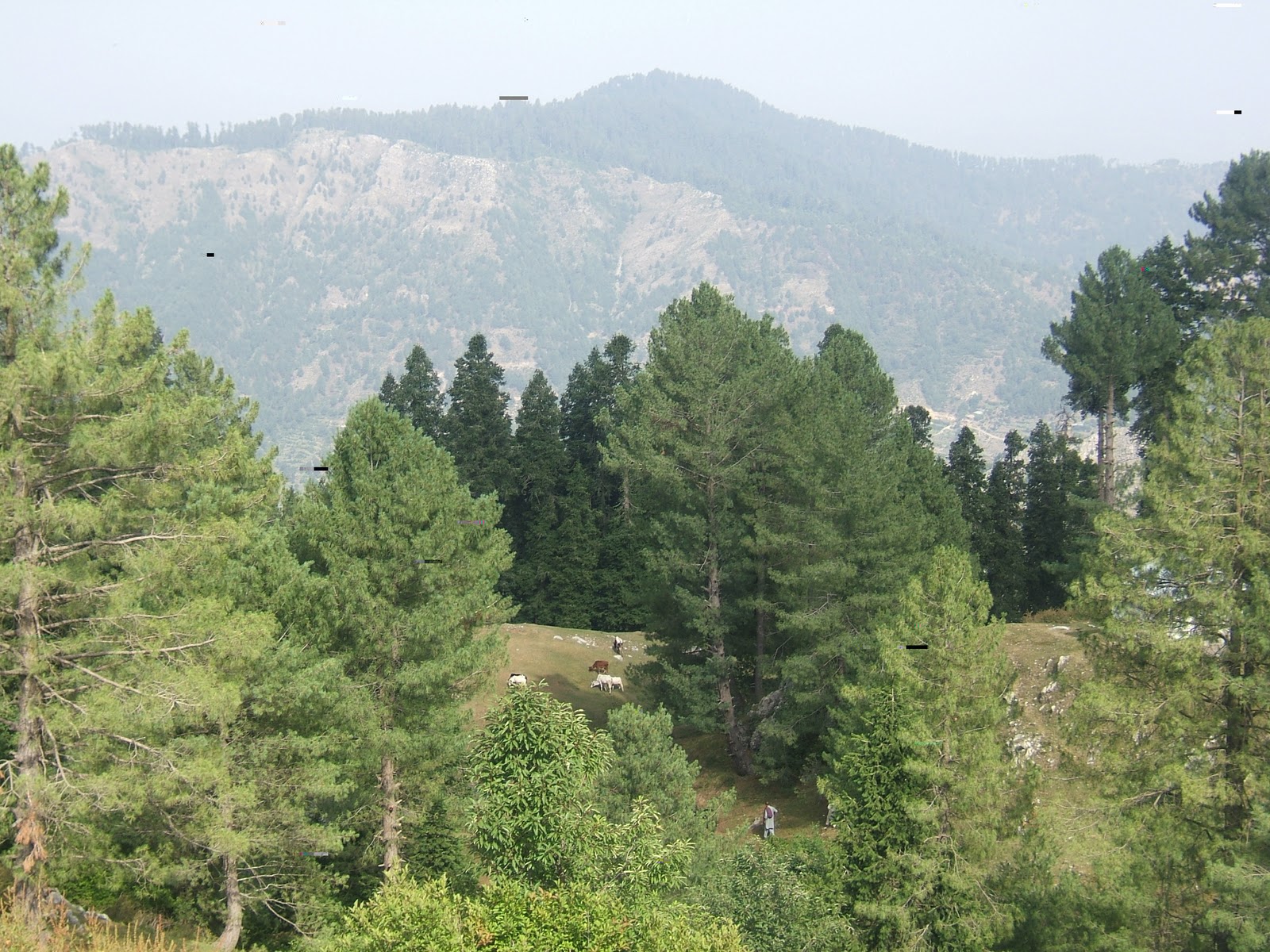 Lovely Pakistan: Thandiani