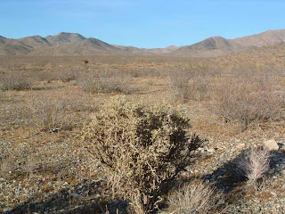 Os 12 suplementos mais perigosos - Lapis