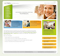 Designing & Developing Website for TMS Professional | bfw Advertising