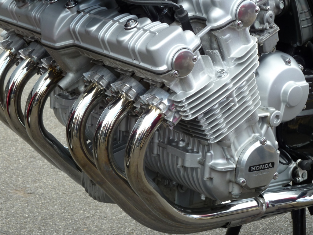 TarSnakes: International Island Classic Phillip Island