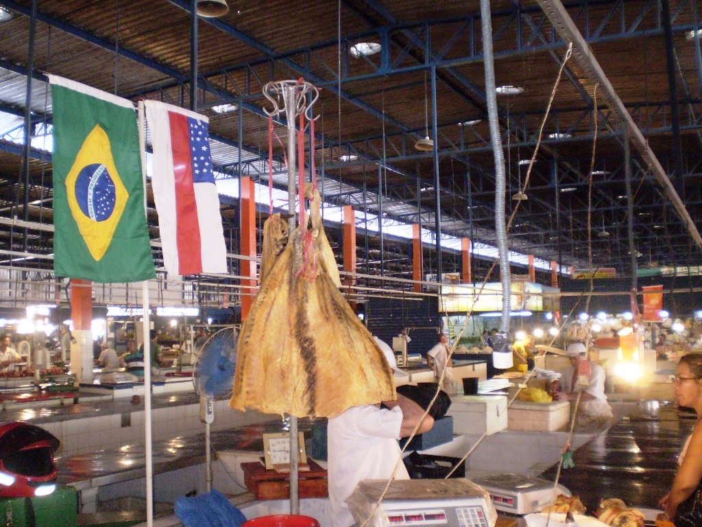 AMAZÔNIA E O MUNDO: Feira Manaus Moderna