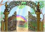 The Lady(Bug) of the Household: 🐱 "M-E-O-W!"