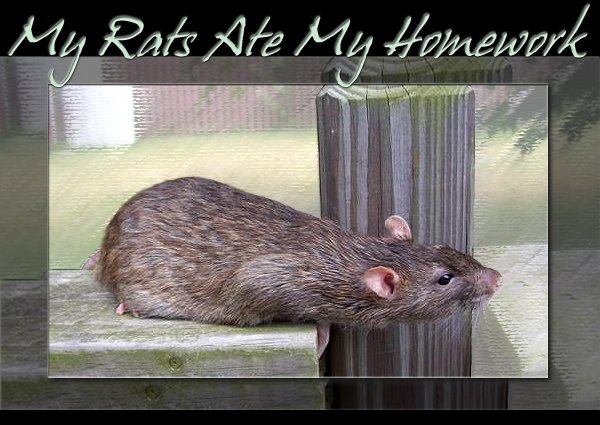 My Rats Ate My Homework