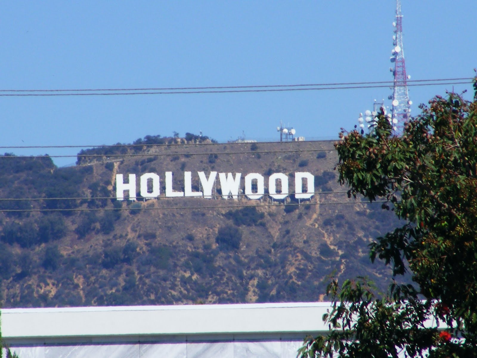 According to Kiki: Hollywood Forever Part 2