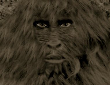 ** Planet of the Skunk Apes - Has legendary creature visited South Georgia?