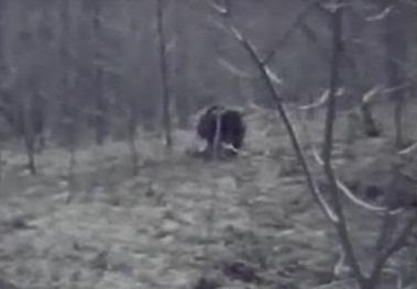 'Gable Film' Revealed As Hoax...MonsterQuest Ends It's Run