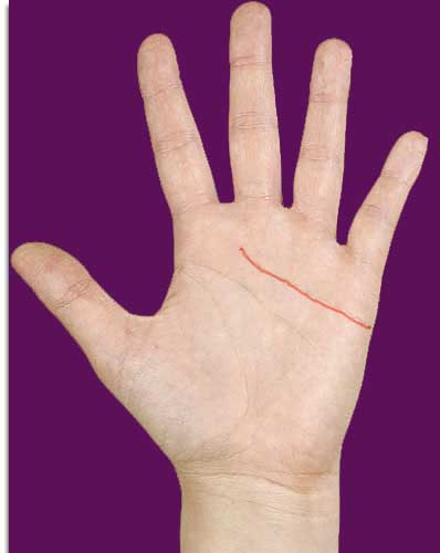 Palm Reading Made Simple