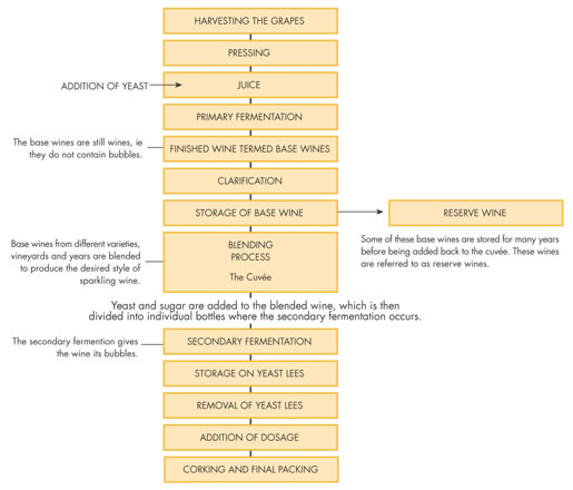 wines: wine production digram