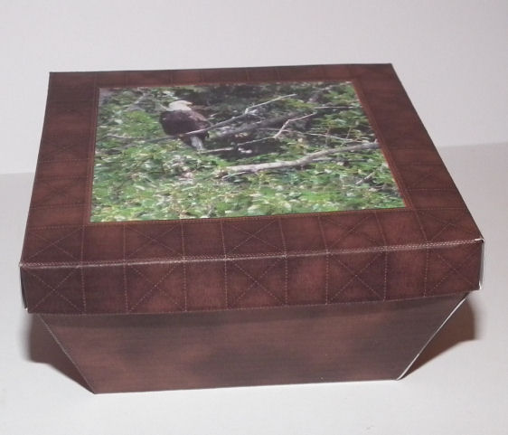 Don't Eat the Paste: Printable eagle box