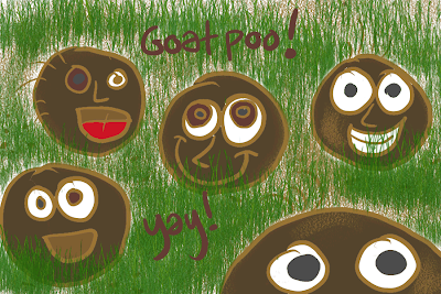 In Wonderland: Goat Poo!!!