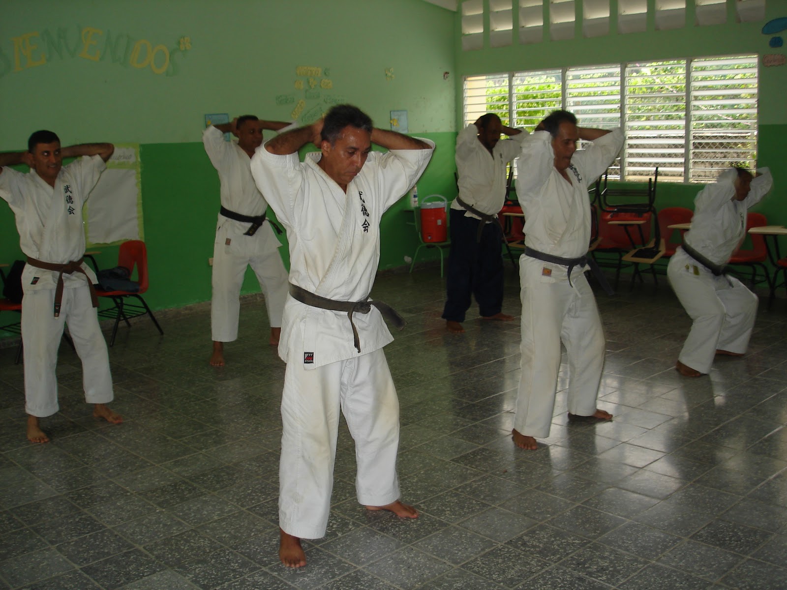 Gensei Ryu Butoku-kai Karate Do / Santiago: Fotos del Genseiryu