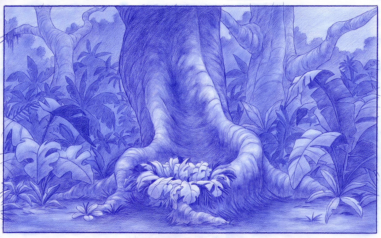 Andrew Wolf's Portfolio