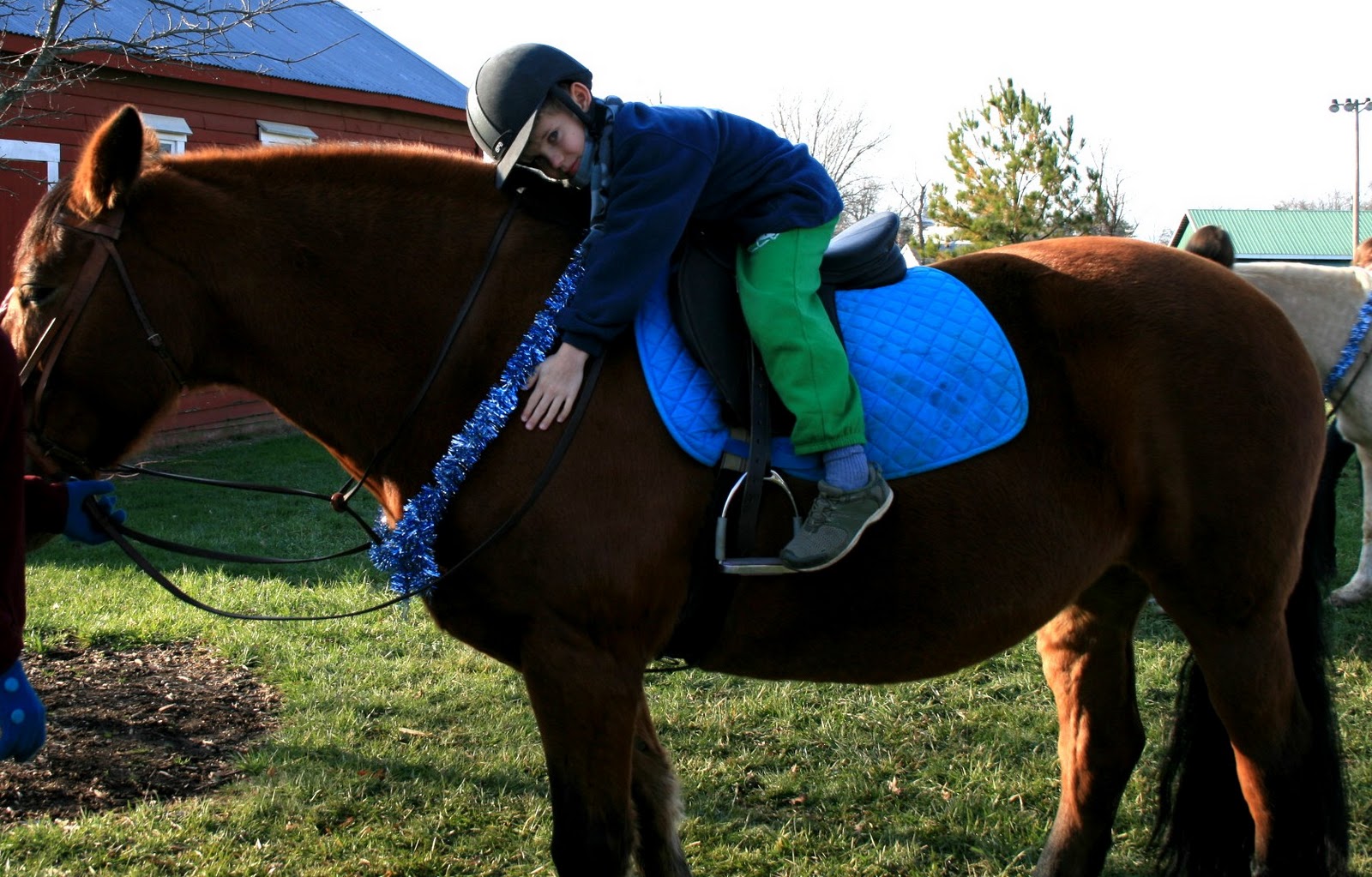 Ponies of the Heart ~ Your Horse and Pony Photos: Tell Us About Your ...