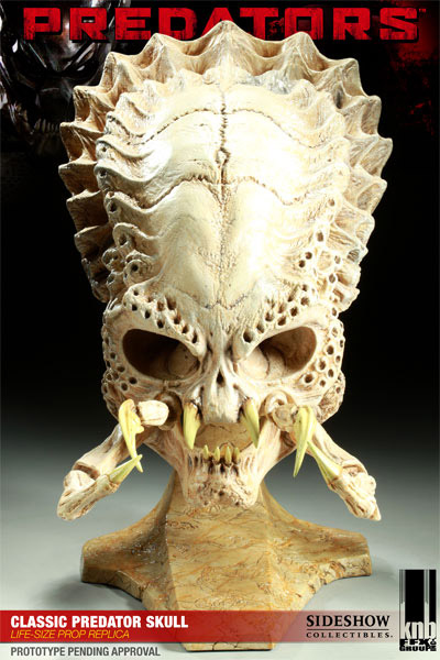 Acero y Magia: Cráneo Classic Predator Skull