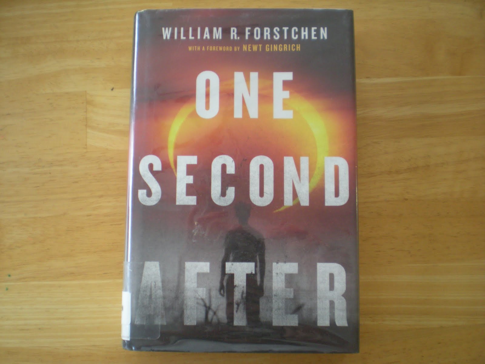 The School of Good Enough: One Second After- Book Review