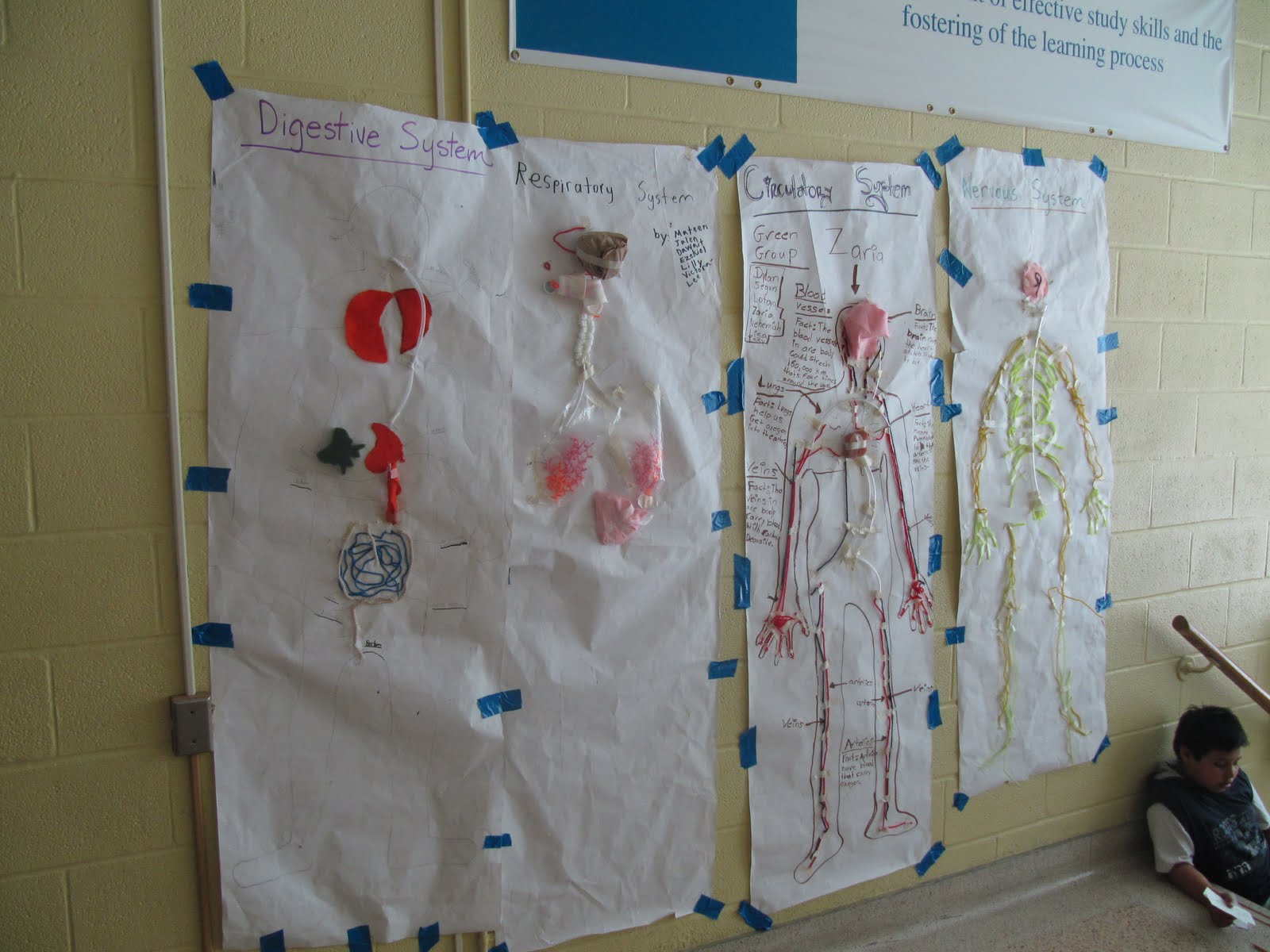 Room 23 Absolutely: The Human Body Studies and Culminating Task!